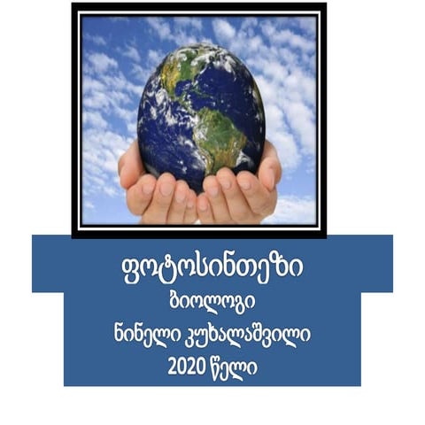 Fotosintezi 200422145723 | PPT