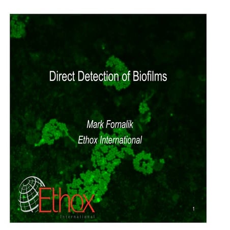 Early Biofilm Detection | PDF