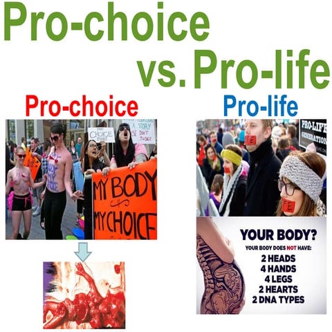 Pronatalism: Pro-choice vs pro-life | PDF | Reproductive Health ...