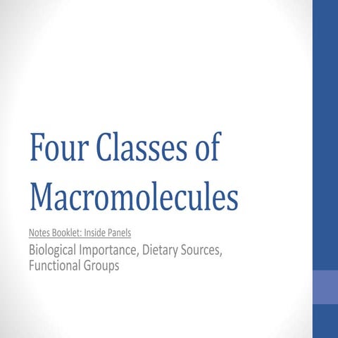 Four Classes Of Macromolecules Pptx