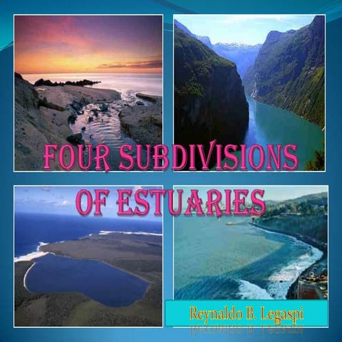 Four divisions of estuary | PPTX