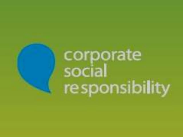 Beyond corporate social responsibility | PDF