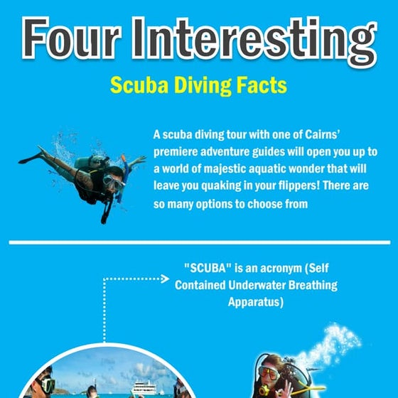 11111 power poin sky diving new one | PPT