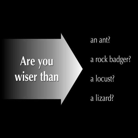 Four little things, pro30.24 28 slide share | PDF