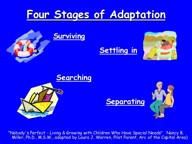 Four stages of adaptation ptet