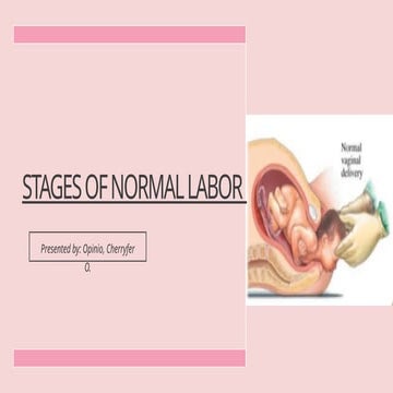 Four stages of labor_20241122_090702_0000.pptx