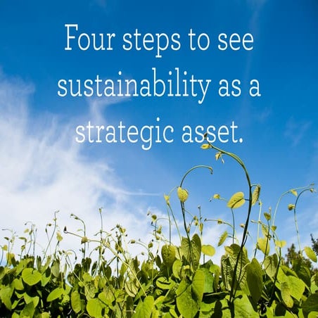 Four steps to sustainability as a strategic asset | PDF | Green ...