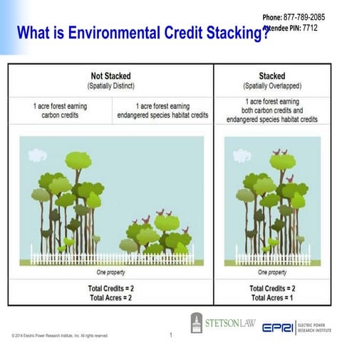 Legal Status of Credit Stacking | PPT