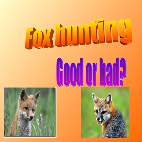 Fox Hunting | PPT