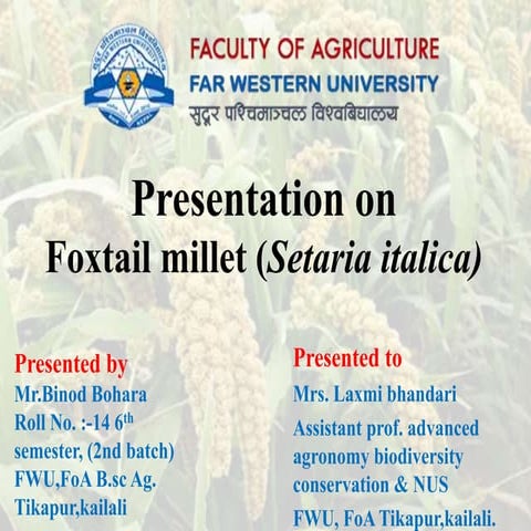 feed formuations .pdf