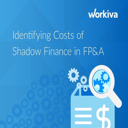 Identifying Costs of Shadow Finance in FP&A | PPT
