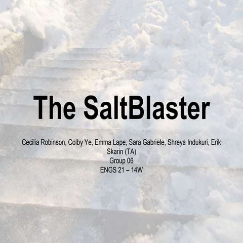 Salt Blaster - Engineering Design | PPTX