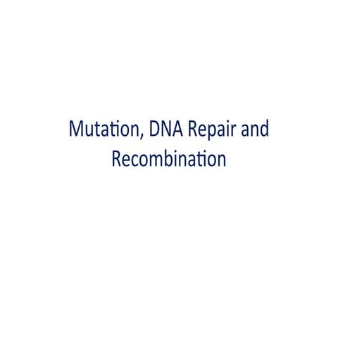 FPE - Lec 22-23 - Mutation, DNA Repair and Recombination.ppt