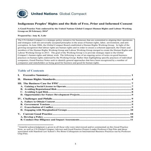 Indigenous Peoples’ Rights and the Role of Free, Prior and Informed ...