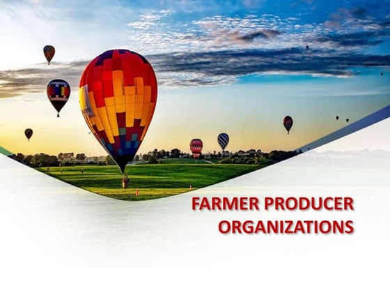 Farmer producer organization (fpo) | PPT