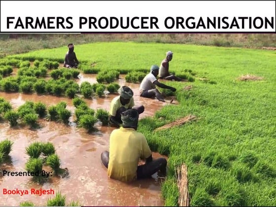Farmer producer organization (fpo) | PPT