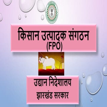 FPO PPT Final.ppt