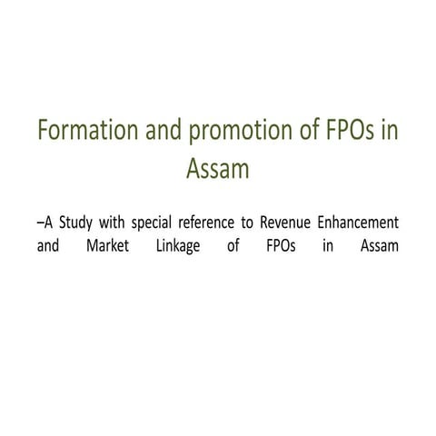 FPO presentation.pptx