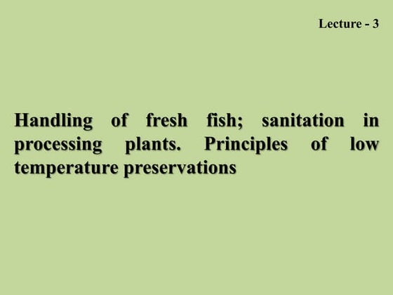 freezing and chilling in fish processing | PPT | Fish and Aquariums | Pets