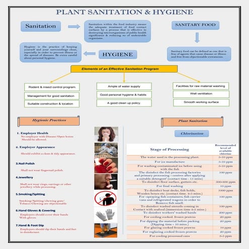 Plant Sanitation and Hygiene | PDF