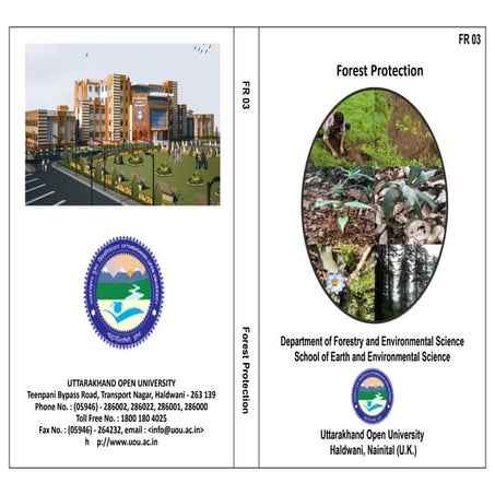 Comprehensive Forest Protection: Strategies and Challenges in ...