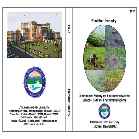 Tree plantation | PPTX