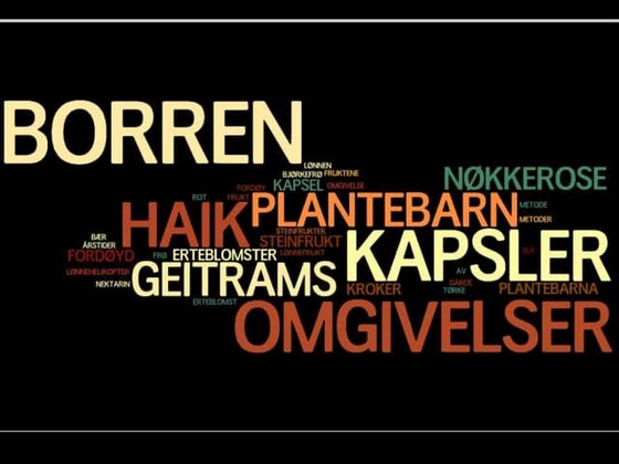 BWIA Certificate of Service | PDF