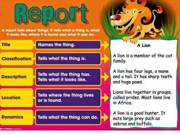 Factual Report 2 factual-report-2