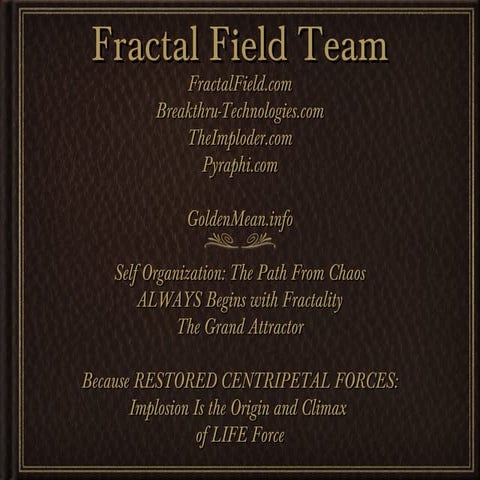 Fractal BioActive Field tech from Implosion Goup-Dan Winter | PPT ...