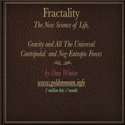 Fractality | PDF