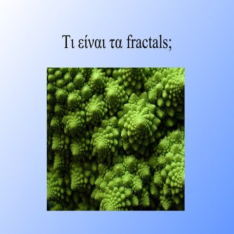 Fractal team5 | PPT