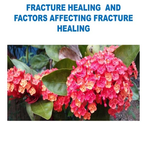 Fracture healing and factors affecting fracture healing | PPTX
