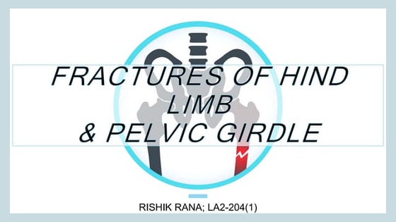 SCIENTIFIC DISCOVERY.pptx