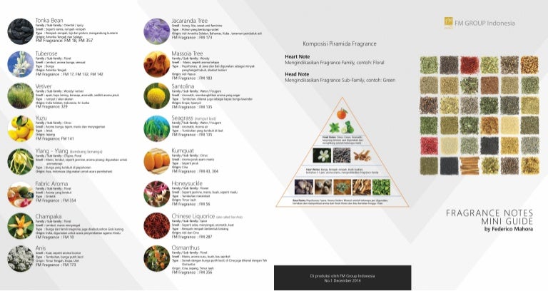 Fragrance note guides