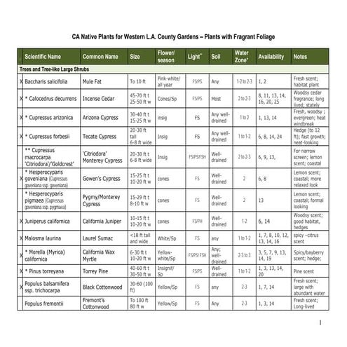 Califoria Plants with Fragrant foliage | PPT