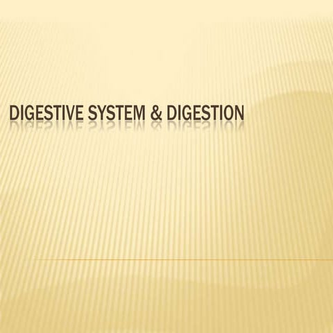 Digestive System & Digestion | PPTX