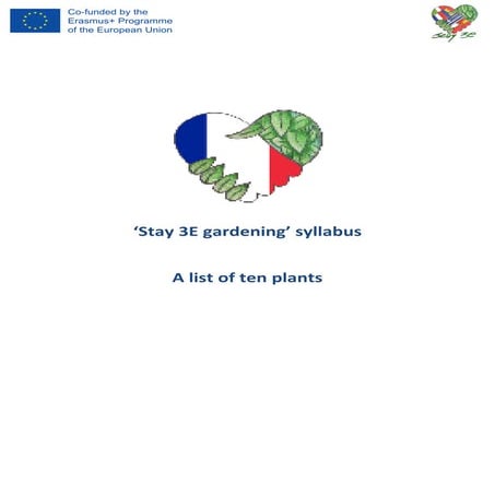 France - 10 plants from French garden | PDF