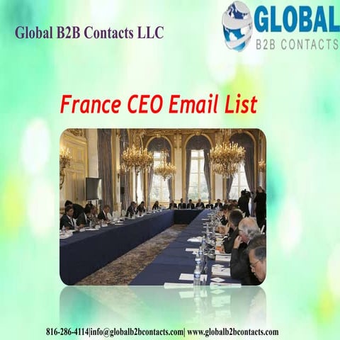 France ceo email list | PPT