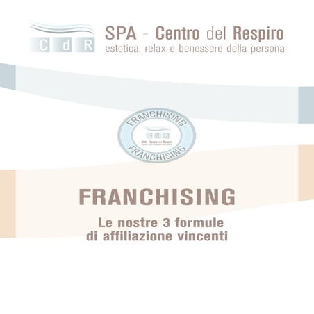 Franchising | PDF
