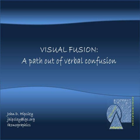 Visual Fusion - A Path Out of Verbal Confusion | PPTX