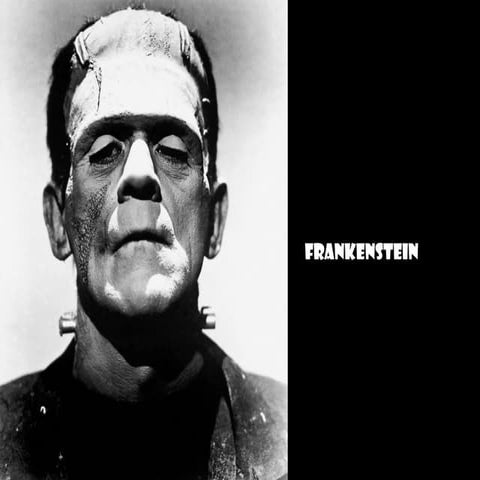 Frankenstein slides | PPT