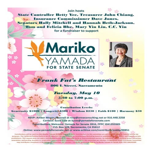 Flyer - State Senate Campaign | PDF