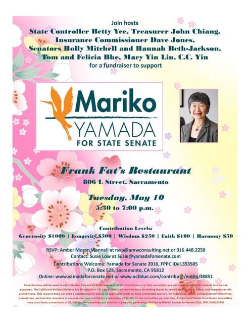 Flyer - State Senate Campaign | PDF