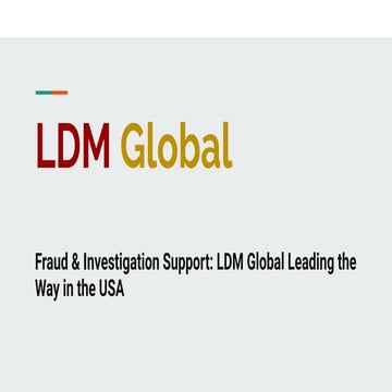 Fraud & Investigation Support_ LDM Global Leading the Way in the USA.pdf