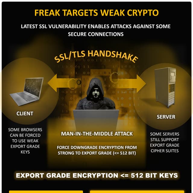 Symantec Freak Vulnerability Infographic | PDF