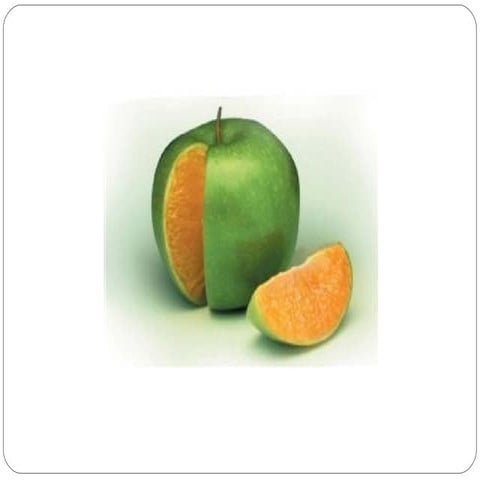 Freakonomics - Concepts and Application | PPT