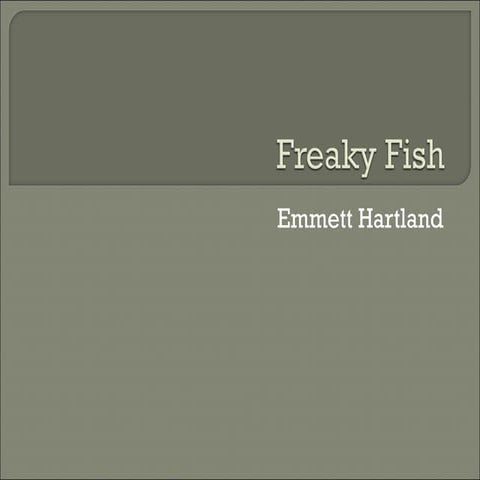 Freaky Fish | PPT