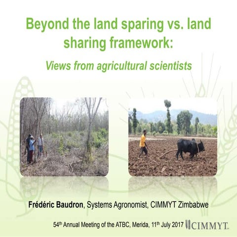 Beyond the land sparing vs. land sharing framework: Views from ...