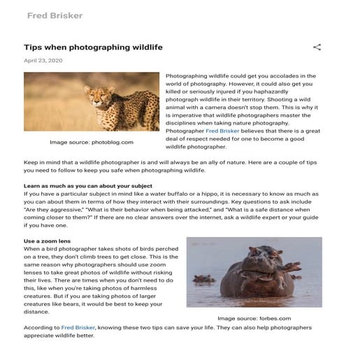 Wildlife Photography Tips from some of the Famous Photographers In ...