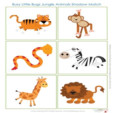 Free jungle-animal-shadow-match-file | PDF